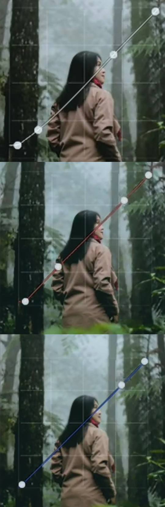 2+ Rumus Lightroom Alam, Filternya Bikin Foto Jadi Lebih Alami